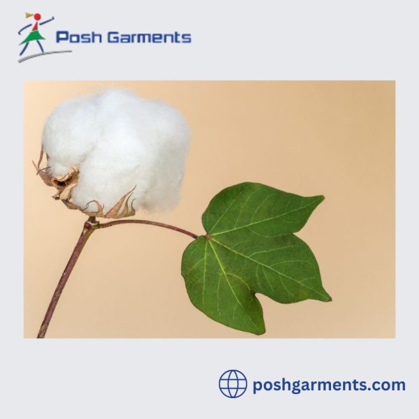 An update on cotton price - Posh Garments Ltd.